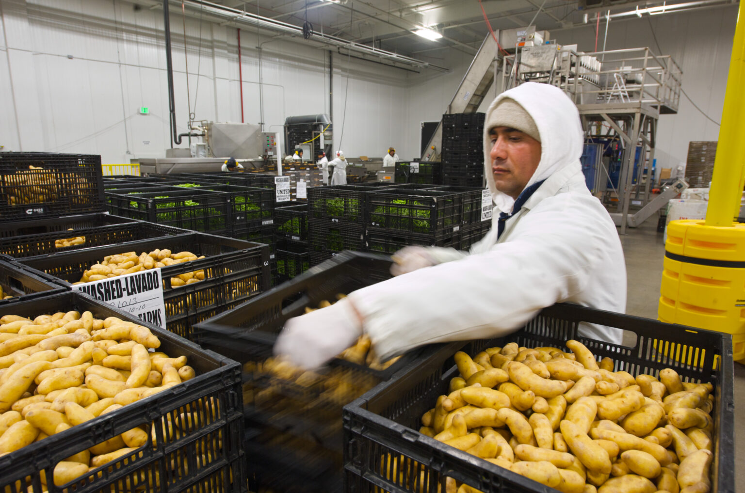 Value Added Solutions - 4Earth Farms
