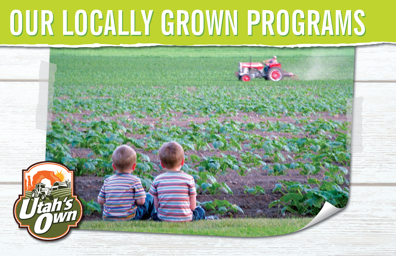 Just 4 Consumers - 4Earth Farms