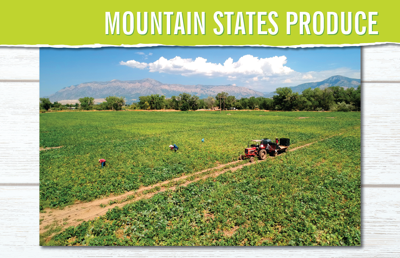 Mountain State Produce - 4Earth Farms